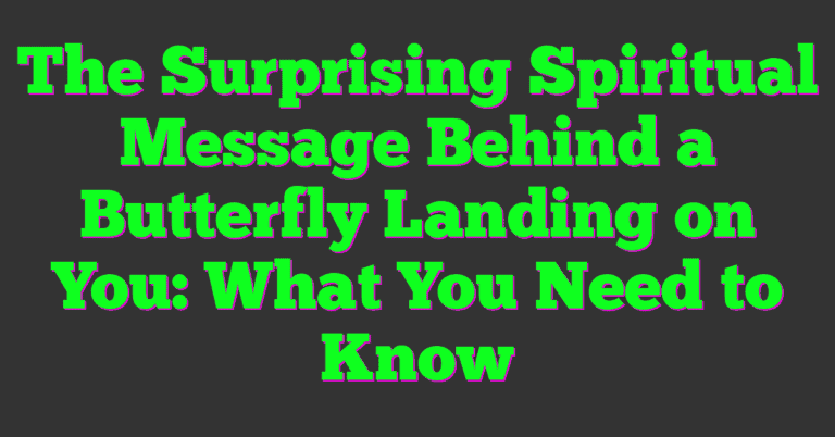 The Surprising Spiritual Message Behind a Butterfly Landing on You ...